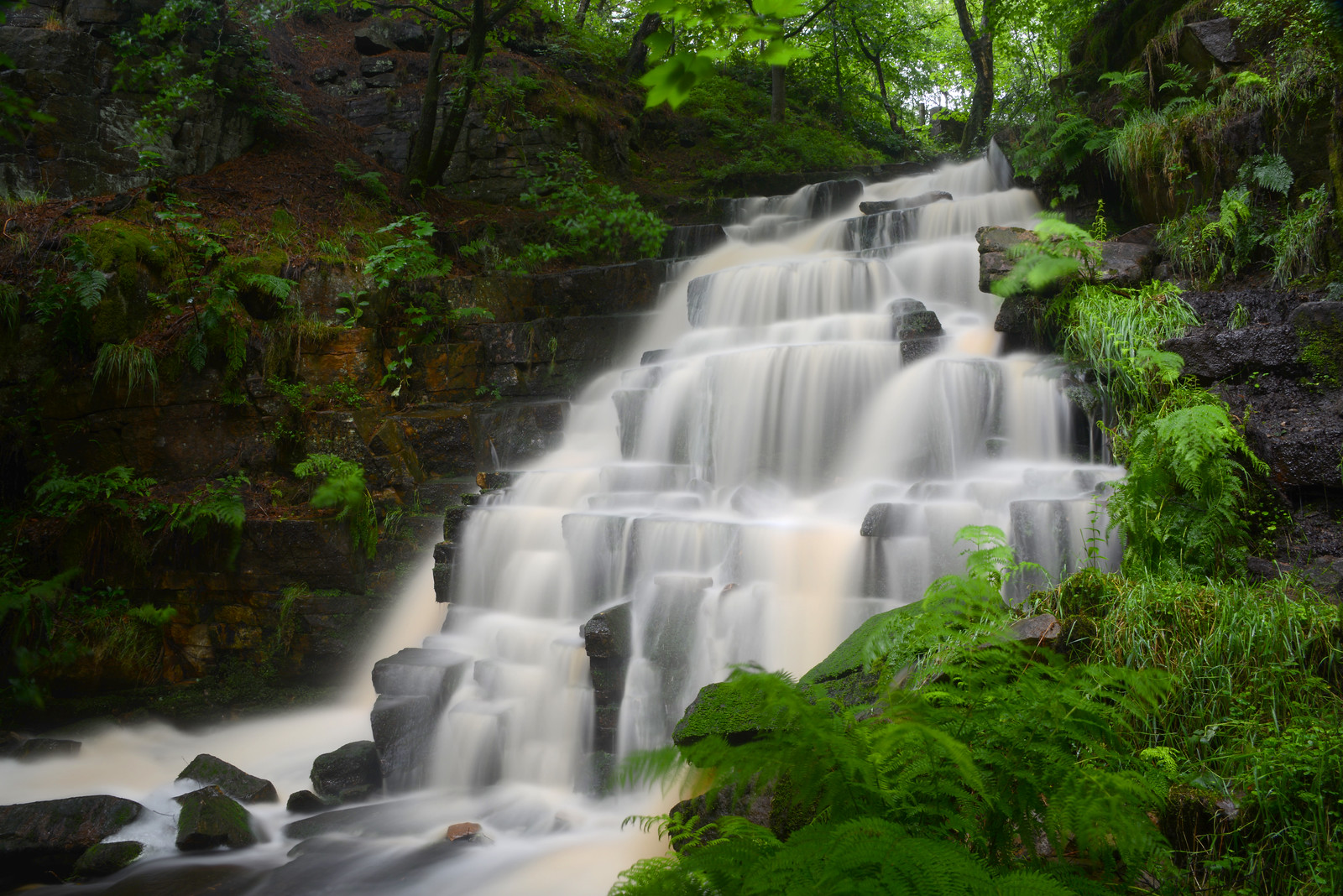 Our Offices | Amber River Office Locations