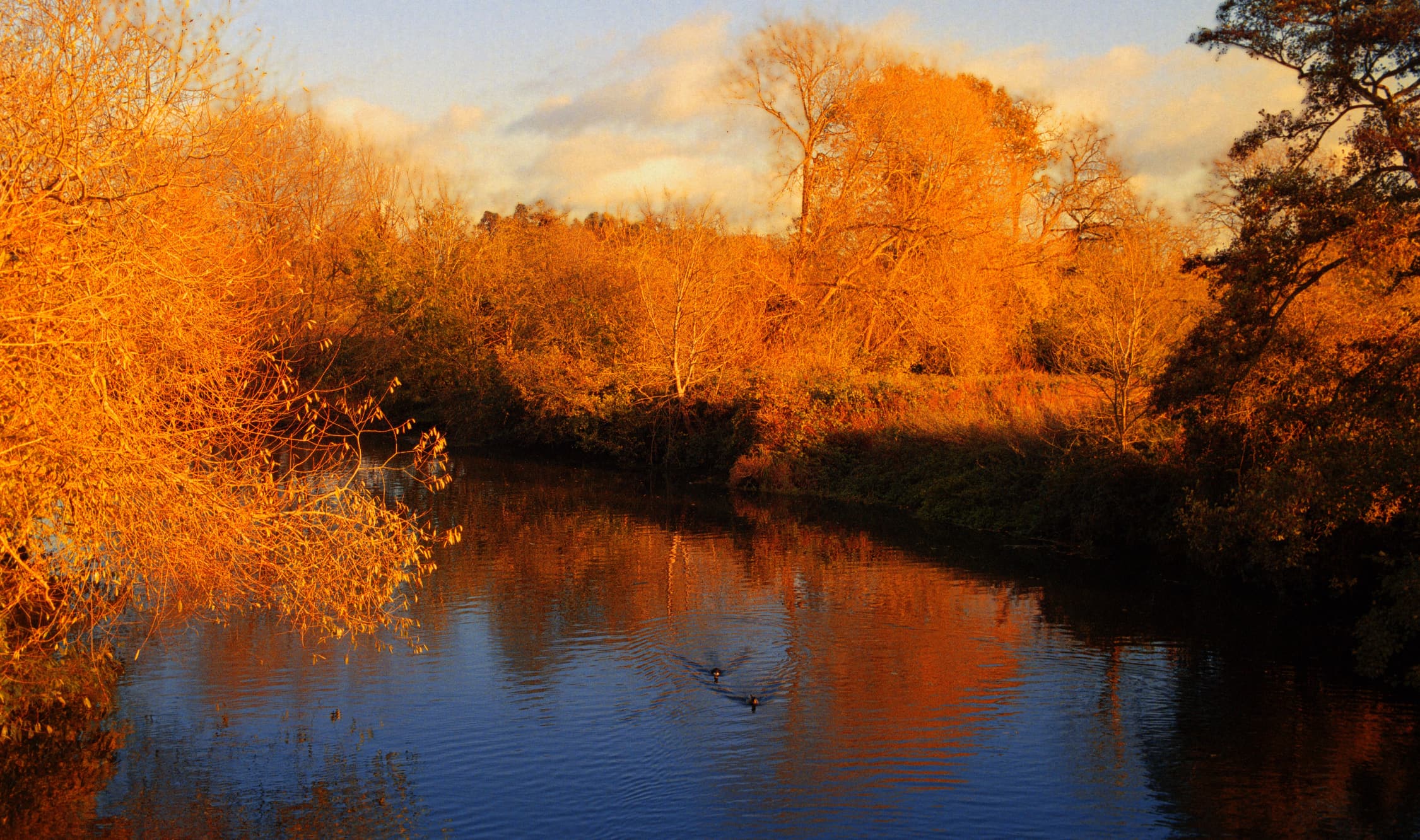 Our Offices | Amber River Office Locations